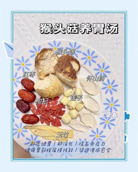 猴头菇能治胃病吗_猴头菇怎么吃养胃-第1张图片-山城妙识 猴头菇能治胃病吗_猴头菇怎么吃养胃-第1张图片-山城妙识