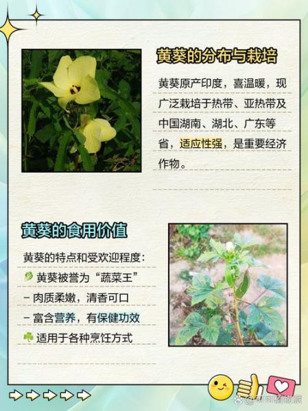 人参黄秋葵能提高性功能吗_适合哪些人群-第3张图片-山城妙识 人参黄秋葵能提高性功能吗_适合哪些人群-第3张图片-山城妙识