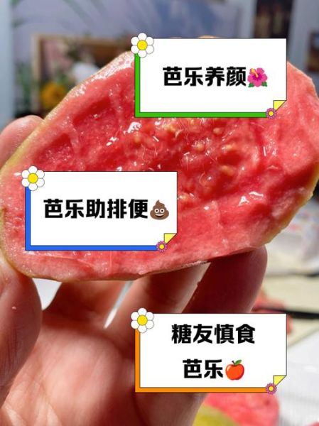 红心芭乐的功效与作用_红心芭乐禁忌有哪些-第1张图片-山城妙识 红心芭乐的功效与作用_红心芭乐禁忌有哪些-第1张图片-山城妙识