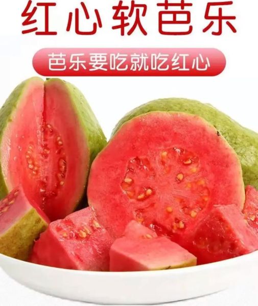 红心芭乐的功效与作用_红心芭乐禁忌有哪些-第2张图片-山城妙识 红心芭乐的功效与作用_红心芭乐禁忌有哪些-第2张图片-山城妙识