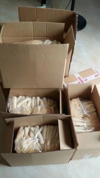 竹荪菌种哪里买_竹荪菌种怎么选-第2张图片-山城妙识 竹荪菌种哪里买_竹荪菌种怎么选-第2张图片-山城妙识