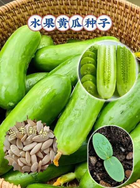 青节瓜图片_青节瓜和丝瓜区别-第1张图片-山城妙识 青节瓜图片_青节瓜和丝瓜区别-第1张图片-山城妙识