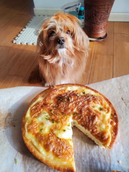 乳酪大会披萨好吃吗_乳酪大会披萨值得买吗-第2张图片-山城妙识 乳酪大会披萨好吃吗_乳酪大会披萨值得买吗-第2张图片-山城妙识