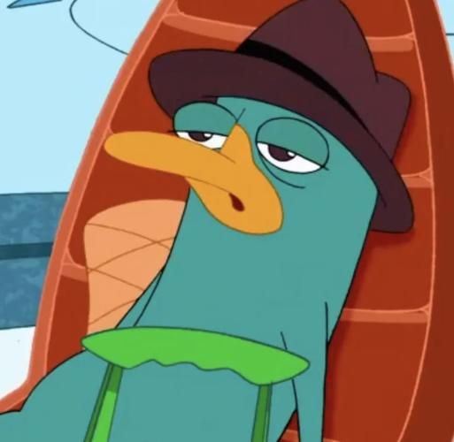 鸭嘴兽泰瑞是谁_泰瑞和飞哥与小佛关系-第1张图片-山城妙识 鸭嘴兽泰瑞是谁_泰瑞和飞哥与小佛关系-第1张图片-山城妙识