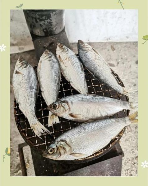 鳀鱼是什么鱼_鳀鱼的营养价值高吗-第1张图片-山城妙识 鳀鱼是什么鱼_鳀鱼的营养价值高吗-第1张图片-山城妙识