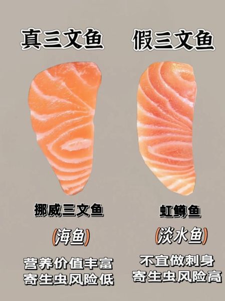 三文鱼的营养价值_吃三文鱼有哪些危害-第1张图片-山城妙识
