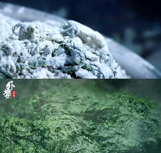 清明果用什么材料_清明果怎么做才软糯-第3张图片-山城妙识 清明果用什么材料_清明果怎么做才软糯-第3张图片-山城妙识