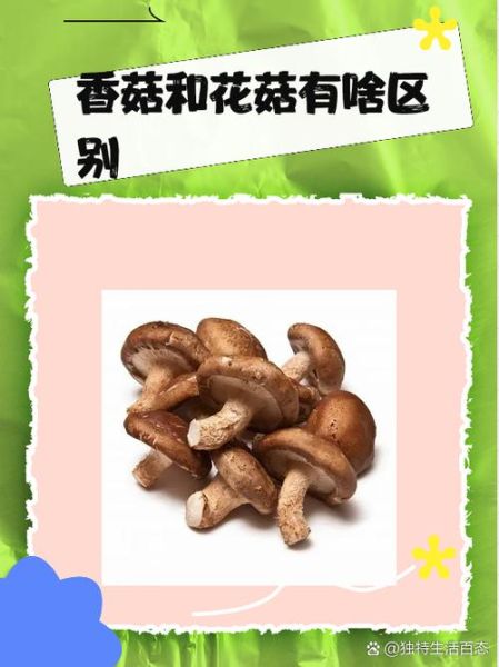 花菇和香菇哪个好_花菇和香菇的区别-第3张图片-山城妙识