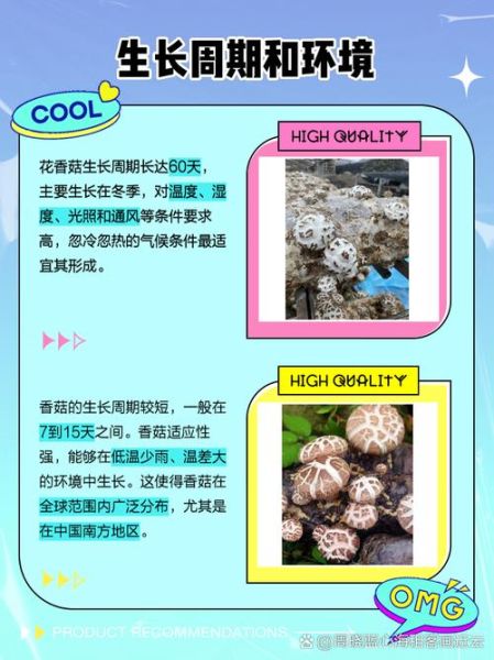 花菇和香菇哪个好_花菇和香菇的区别-第1张图片-山城妙识