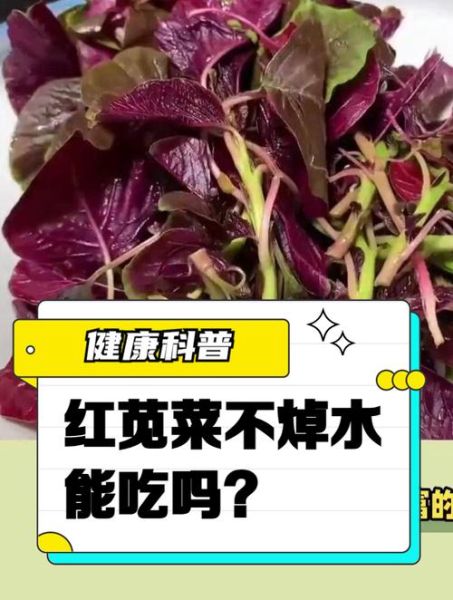 红苋菜要焯水吗_焯水会不会破坏营养-第2张图片-山城妙识