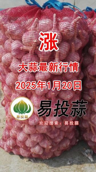 明年大蒜价格会涨吗_2025年大蒜行情预测-第2张图片-山城妙识
