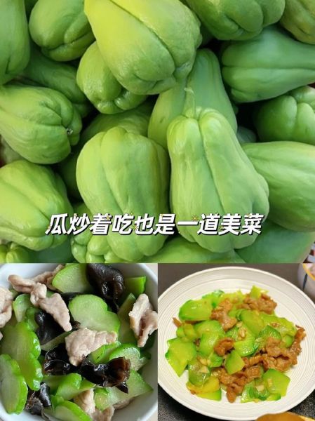 龙须菜是什么瓜的藤_龙须菜和佛手瓜关系-第3张图片-山城妙识 龙须菜是什么瓜的藤_龙须菜和佛手瓜关系-第3张图片-山城妙识