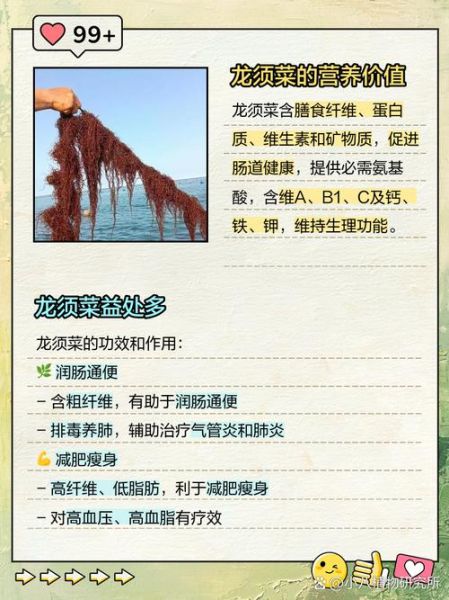 龙须菜是什么瓜的藤_龙须菜和佛手瓜关系-第2张图片-山城妙识 龙须菜是什么瓜的藤_龙须菜和佛手瓜关系-第2张图片-山城妙识