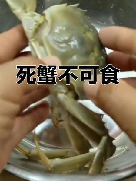 阳澄湖大闸蟹死了能不能吃了_死蟹食用风险-第1张图片-山城妙识 阳澄湖大闸蟹死了能不能吃了_死蟹食用风险-第1张图片-山城妙识