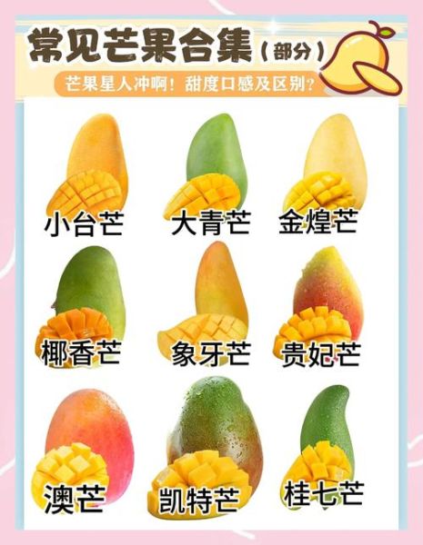 芒果一天吃多少合适_吃多了会怎样-第3张图片-山城妙识