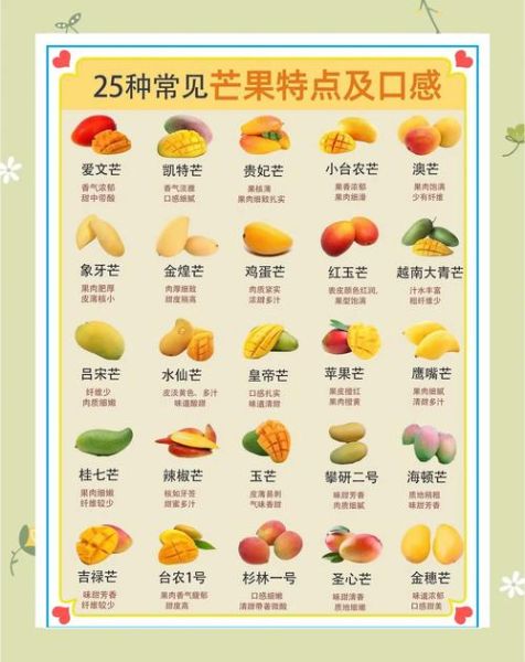 芒果一天吃多少合适_吃多了会怎样-第1张图片-山城妙识