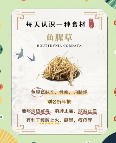 鱼腥草治痔疮怎么用_鱼腥草治痔疮有效吗-第2张图片-山城妙识 鱼腥草治痔疮怎么用_鱼腥草治痔疮有效吗-第2张图片-山城妙识