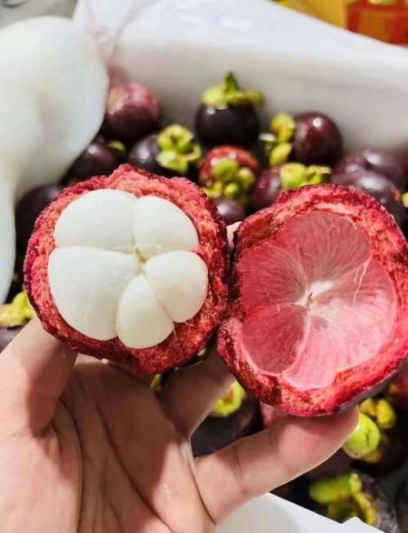 清热去火的水果有哪些_夏天吃什么水果降火最快-第1张图片-山城妙识 清热去火的水果有哪些_夏天吃什么水果降火最快-第1张图片-山城妙识