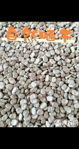 家常豆瓣酱怎么做好吃_自制豆瓣酱配方-第3张图片-山城妙识 家常豆瓣酱怎么做好吃_自制豆瓣酱配方-第3张图片-山城妙识