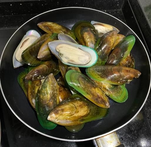 青口贝的营养价值_青口贝吃了有什么好处-第1张图片-山城妙识 青口贝的营养价值_青口贝吃了有什么好处-第1张图片-山城妙识