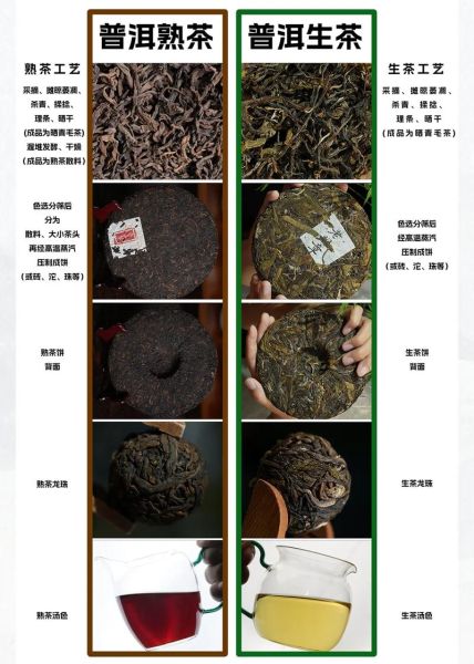 普洱茶怎么保存_普洱茶生茶和熟茶的区别-第1张图片-山城妙识 普洱茶怎么保存_普洱茶生茶和熟茶的区别-第1张图片-山城妙识