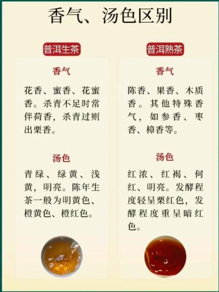 普洱茶怎么保存_普洱茶生茶和熟茶的区别-第3张图片-山城妙识 普洱茶怎么保存_普洱茶生茶和熟茶的区别-第3张图片-山城妙识