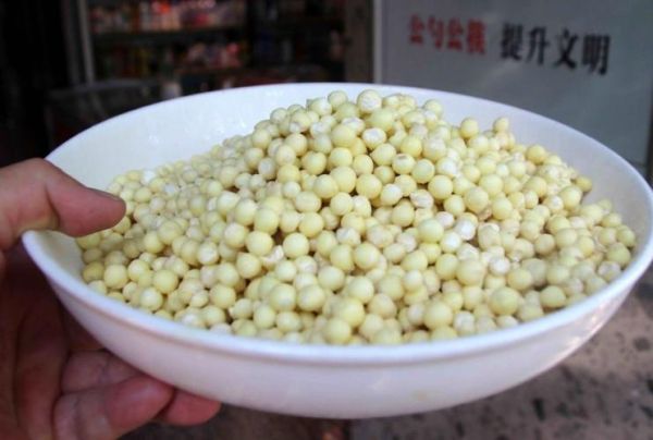 鸡头米长什么样_鸡头米图片怎么识别真假-第3张图片-山城妙识