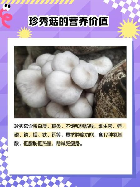 秀珍菇图片怎么分辨好坏_秀珍菇图片高清细节有哪些-第2张图片-山城妙识 秀珍菇图片怎么分辨好坏_秀珍菇图片高清细节有哪些-第2张图片-山城妙识