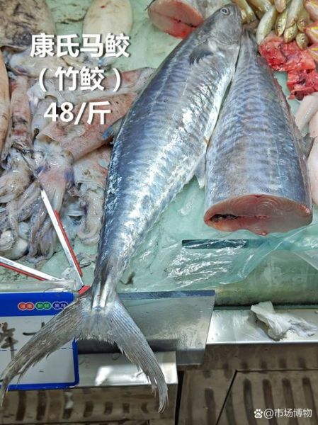 马鲛鱼多少钱一斤_马鲛鱼价格为什么波动大-第1张图片-山城妙识