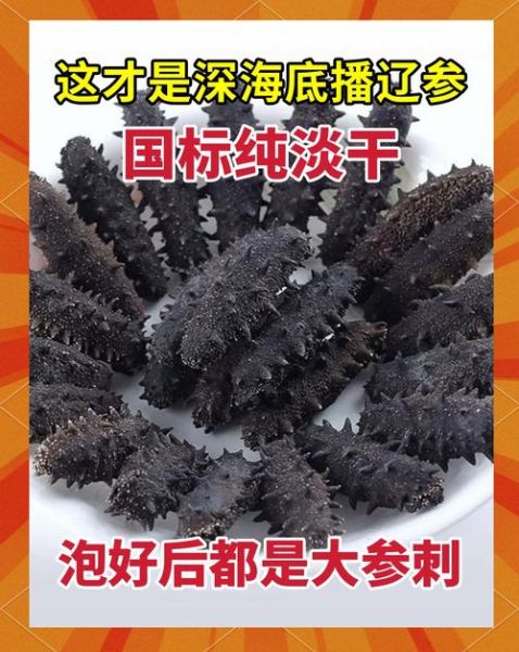 大连海参多少钱一斤_大连海参怎么选-第2张图片-山城妙识