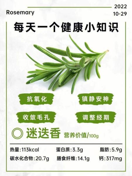 迷迭香的功效与作用_迷迭香怎么养-第1张图片-山城妙识