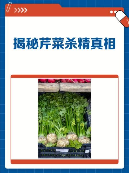 芹菜壮阳还是杀精_真相揭秘-第3张图片-山城妙识 芹菜壮阳还是杀精_真相揭秘-第3张图片-山城妙识