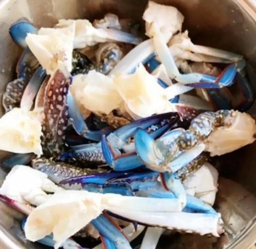 红蟹和花蟹的区别_哪个更好吃-第1张图片-山城妙识