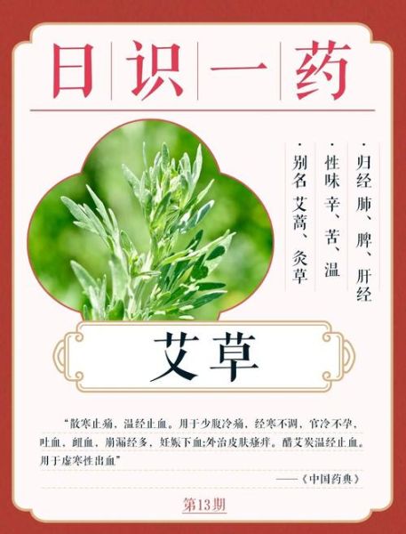 艾叶治鼻炎真的有用吗_如何用艾叶根治多年鼻炎-第2张图片-山城妙识 艾叶治鼻炎真的有用吗_如何用艾叶根治多年鼻炎-第2张图片-山城妙识