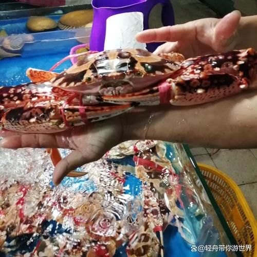红蟹和花蟹的区别_哪个更好吃-第2张图片-山城妙识