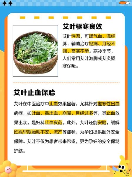 艾叶治鼻炎真的有用吗_如何用艾叶根治多年鼻炎-第1张图片-山城妙识 艾叶治鼻炎真的有用吗_如何用艾叶根治多年鼻炎-第1张图片-山城妙识