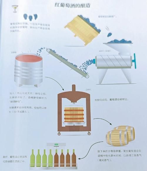 红葡萄酒酿造工艺流程_家庭自酿红酒步骤-第1张图片-山城妙识