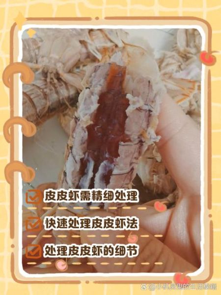 皮皮虾怎么做好吃_皮皮虾清洗方法-第1张图片-山城妙识 皮皮虾怎么做好吃_皮皮虾清洗方法-第1张图片-山城妙识