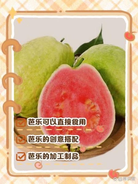 芭乐怎么吃_芭乐的正确吃法大全-第2张图片-山城妙识 芭乐怎么吃_芭乐的正确吃法大全-第2张图片-山城妙识