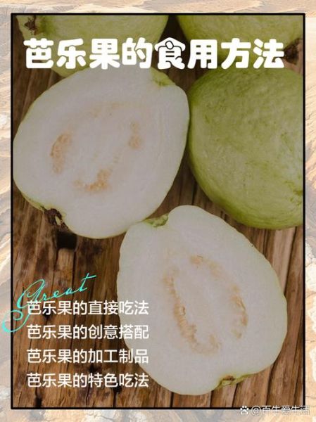 芭乐怎么吃_芭乐的正确吃法大全-第1张图片-山城妙识 芭乐怎么吃_芭乐的正确吃法大全-第1张图片-山城妙识