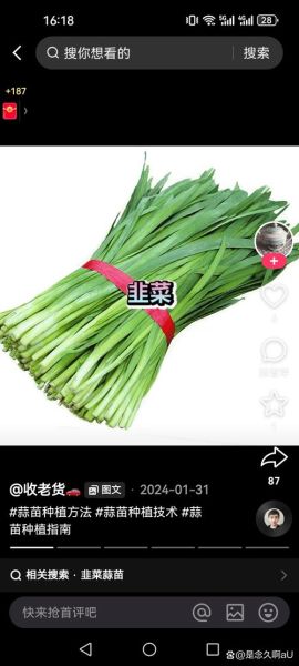 补肾吃什么菜_肾虚吃什么蔬菜好-第2张图片-山城妙识 补肾吃什么菜_肾虚吃什么蔬菜好-第2张图片-山城妙识