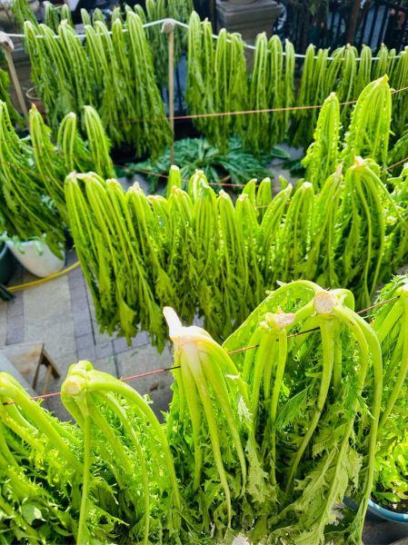 雪里蕻菜长什么样子_如何辨别新鲜雪里蕻-第1张图片-山城妙识 雪里蕻菜长什么样子_如何辨别新鲜雪里蕻-第1张图片-山城妙识