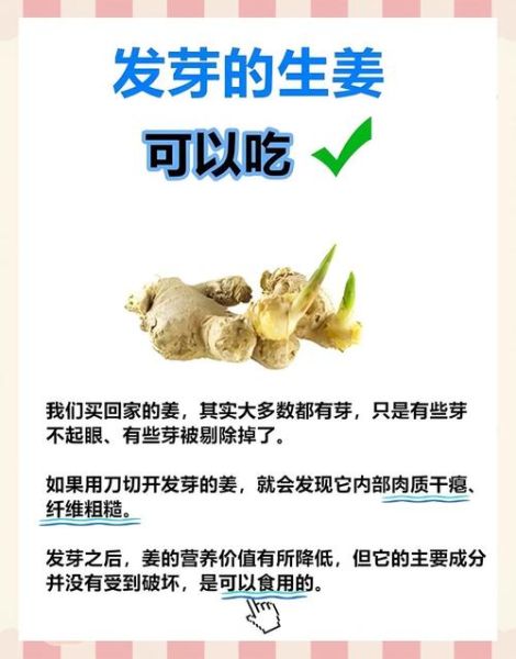 胡萝卜须图片_如何辨别真假-第2张图片-山城妙识 胡萝卜须图片_如何辨别真假-第2张图片-山城妙识