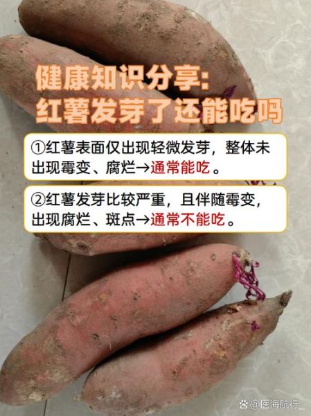 红薯发芽可以吃吗_红薯发芽有毒吗-第1张图片-山城妙识 红薯发芽可以吃吗_红薯发芽有毒吗-第1张图片-山城妙识