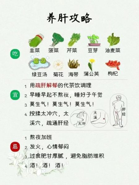 如何养肝护肝_最简单有效的方法-第2张图片-山城妙识 如何养肝护肝_最简单有效的方法-第2张图片-山城妙识