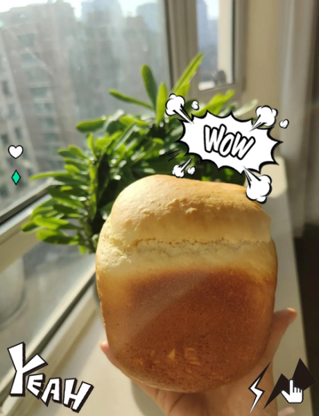 面包机做酸奶面包的做法大全_面包机做酸奶面包的窍门-第1张图片-山城妙识 面包机做酸奶面包的做法大全_面包机做酸奶面包的窍门-第1张图片-山城妙识