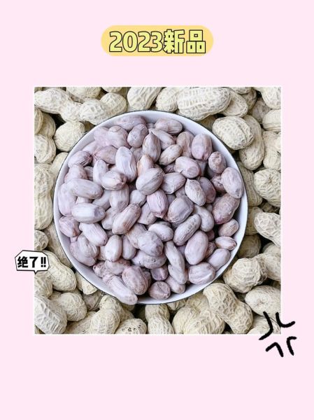 水煮花生米怎么煮才入味_水煮花生米的正确做法-第3张图片-山城妙识 水煮花生米怎么煮才入味_水煮花生米的正确做法-第3张图片-山城妙识