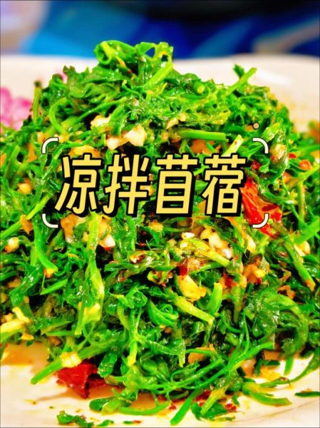 苜蓿怎么做好吃_苜蓿的做法大全-第1张图片-山城妙识 苜蓿怎么做好吃_苜蓿的做法大全-第1张图片-山城妙识