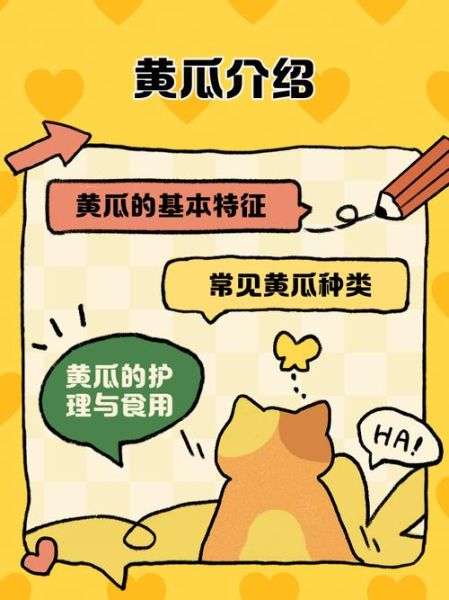 黄瓜为什么叫黄瓜_黄瓜名称由来-第3张图片-山城妙识 黄瓜为什么叫黄瓜_黄瓜名称由来-第3张图片-山城妙识