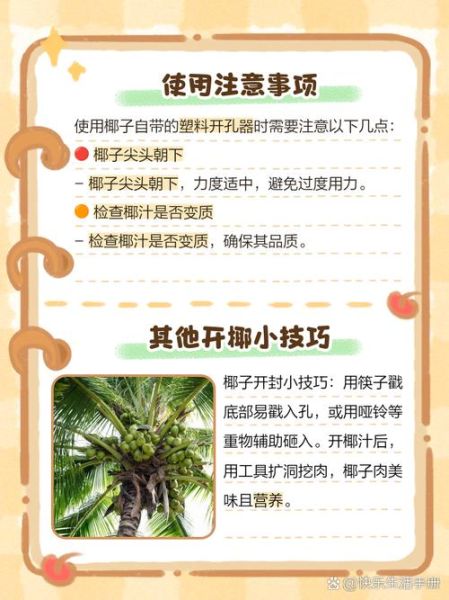 开椰子器怎么用_椰子开孔器使用方法-第1张图片-山城妙识 开椰子器怎么用_椰子开孔器使用方法-第1张图片-山城妙识